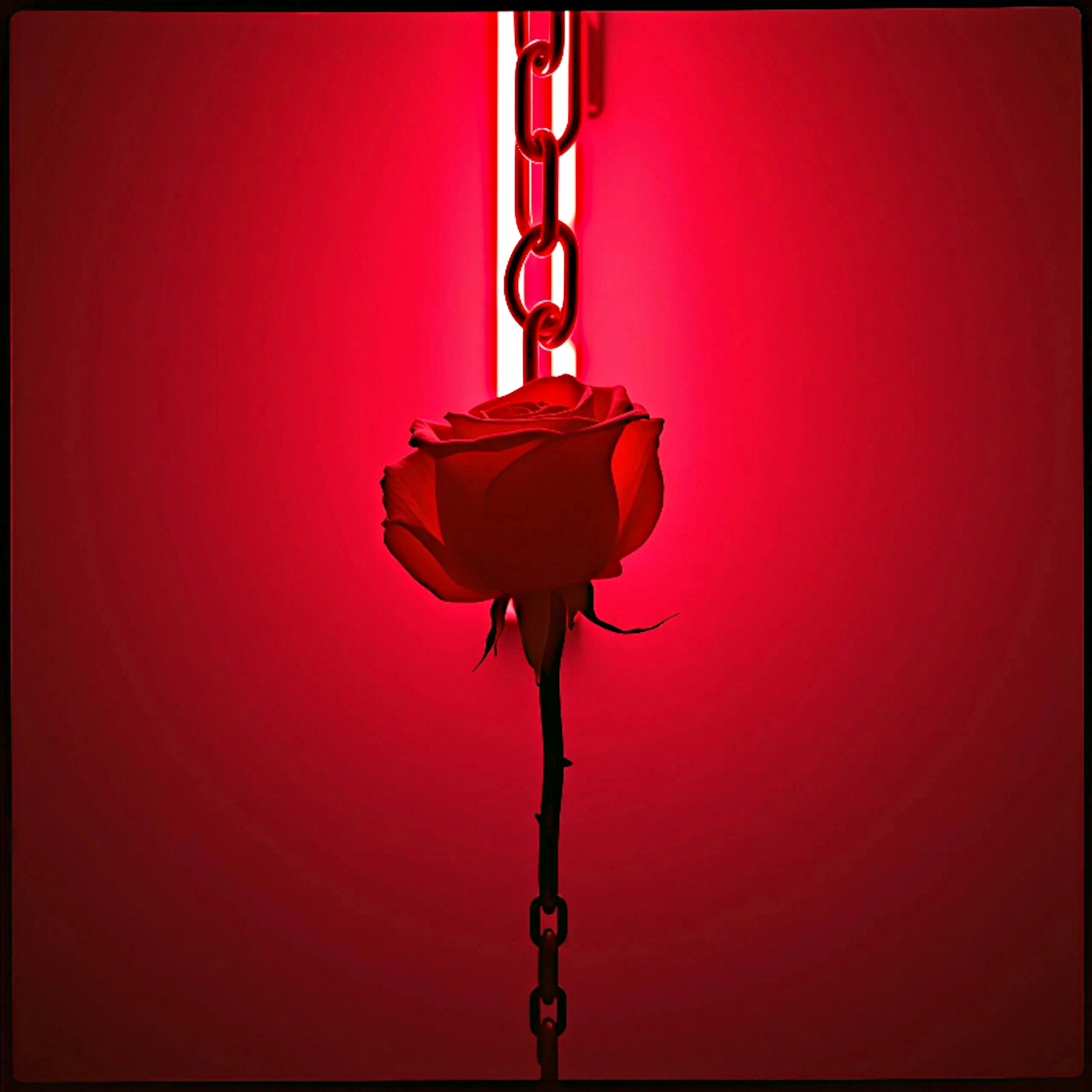 SoulPlay – Music for your soul